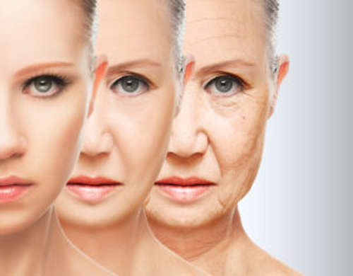 Bio-aesthetic points: A new approach to fight off ageing - Daijiworld.com